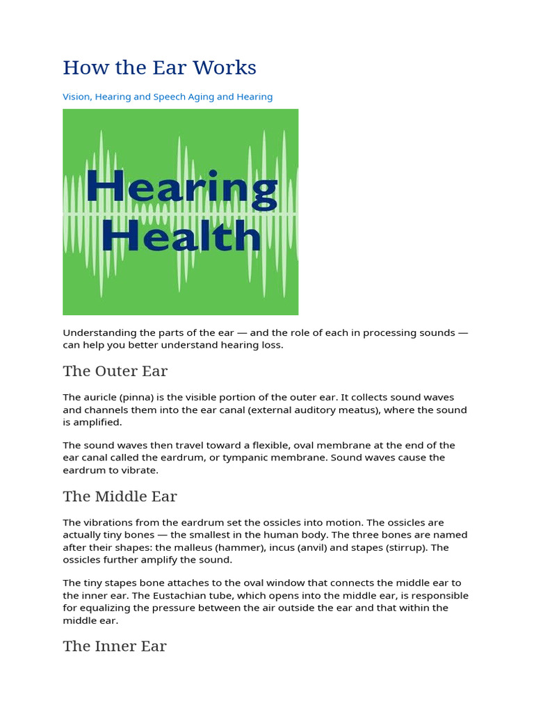 How The Ear Works | PDF