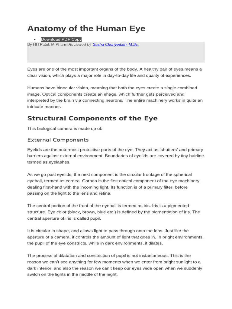 Anatomy of The Human Eye | PDF