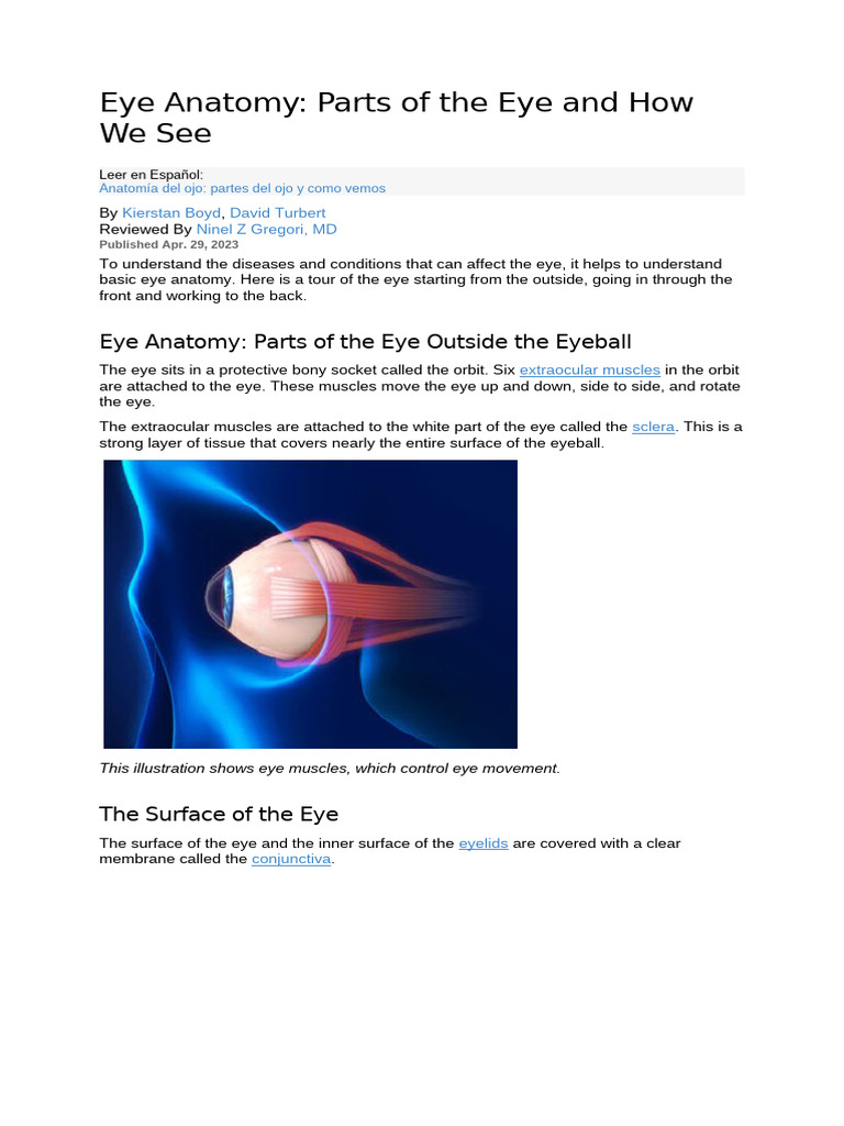 Eye Anatomy - Parts of the Eye and How We See | PDF