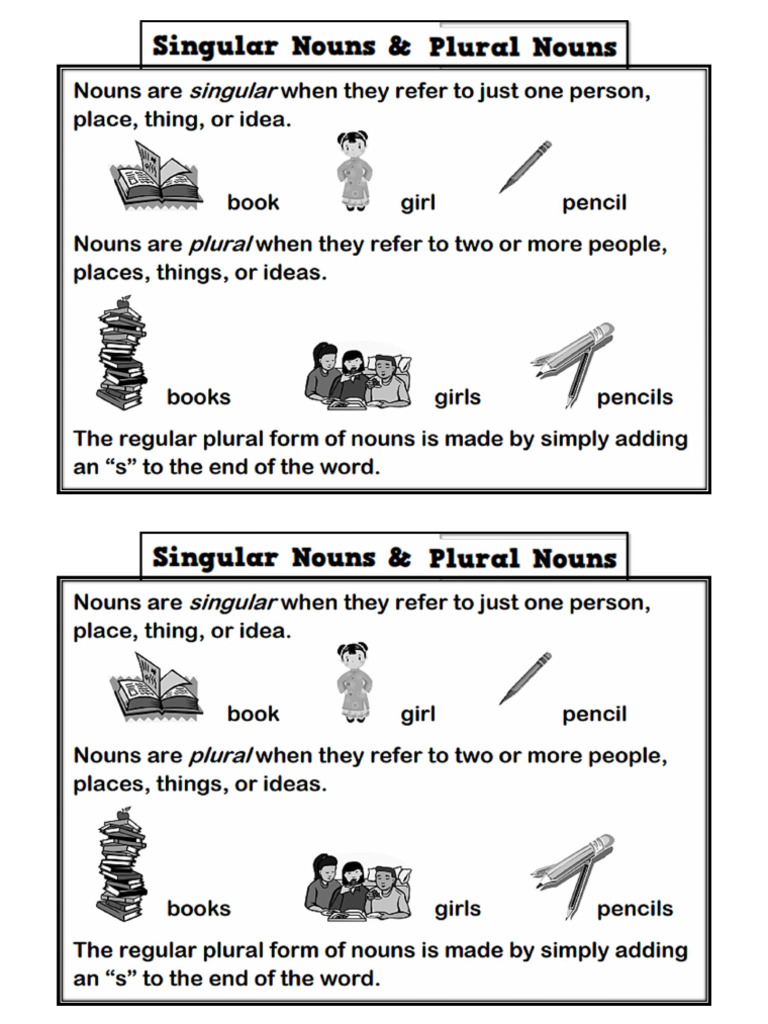 Singular & Plural Reference | PDF