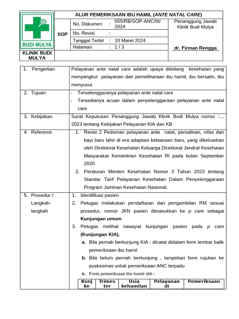 SOP ALUR PEMERIKSAAN IBU HAMIL Oke Rev | PDF