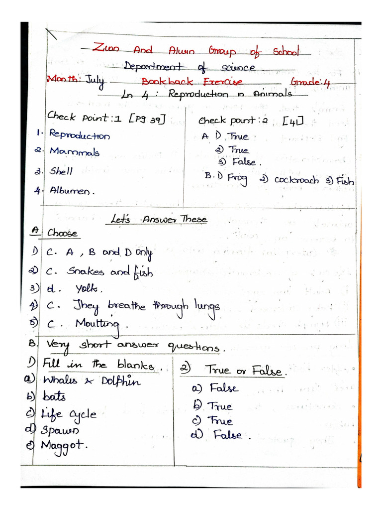 Grade 4, ĹN 4 and 5, BOOK BACK EXCERCISES | PDF