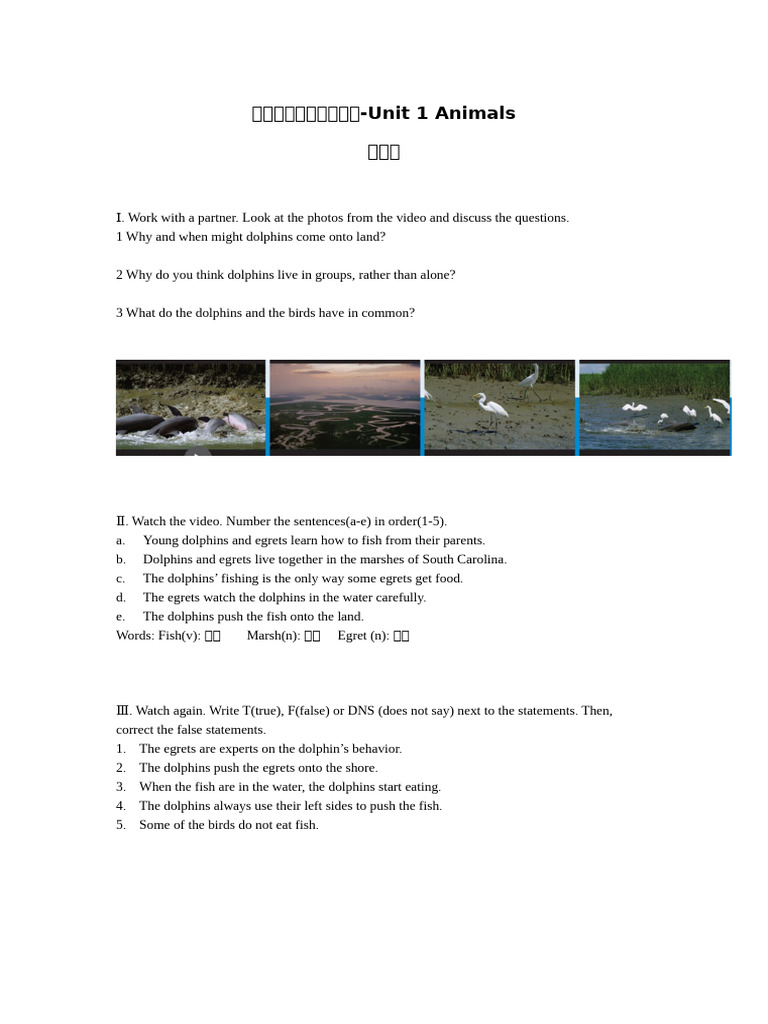 Worksheet Lesson 1 | PDF
