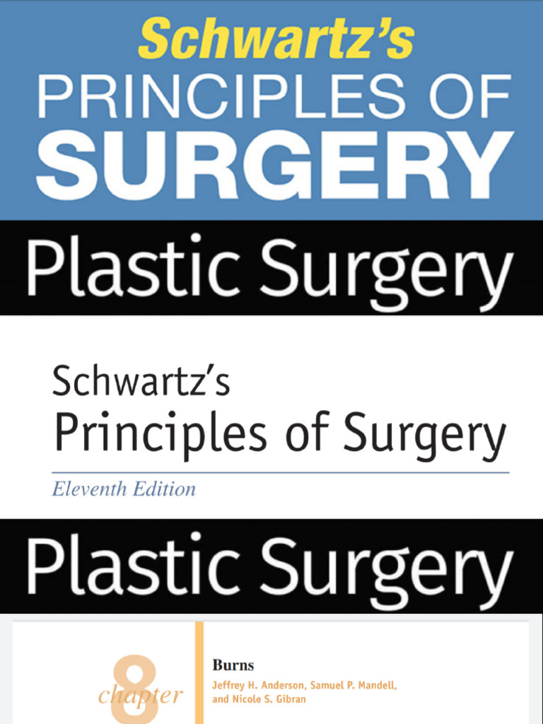 Schwartz - Plastic Boxes | PDF