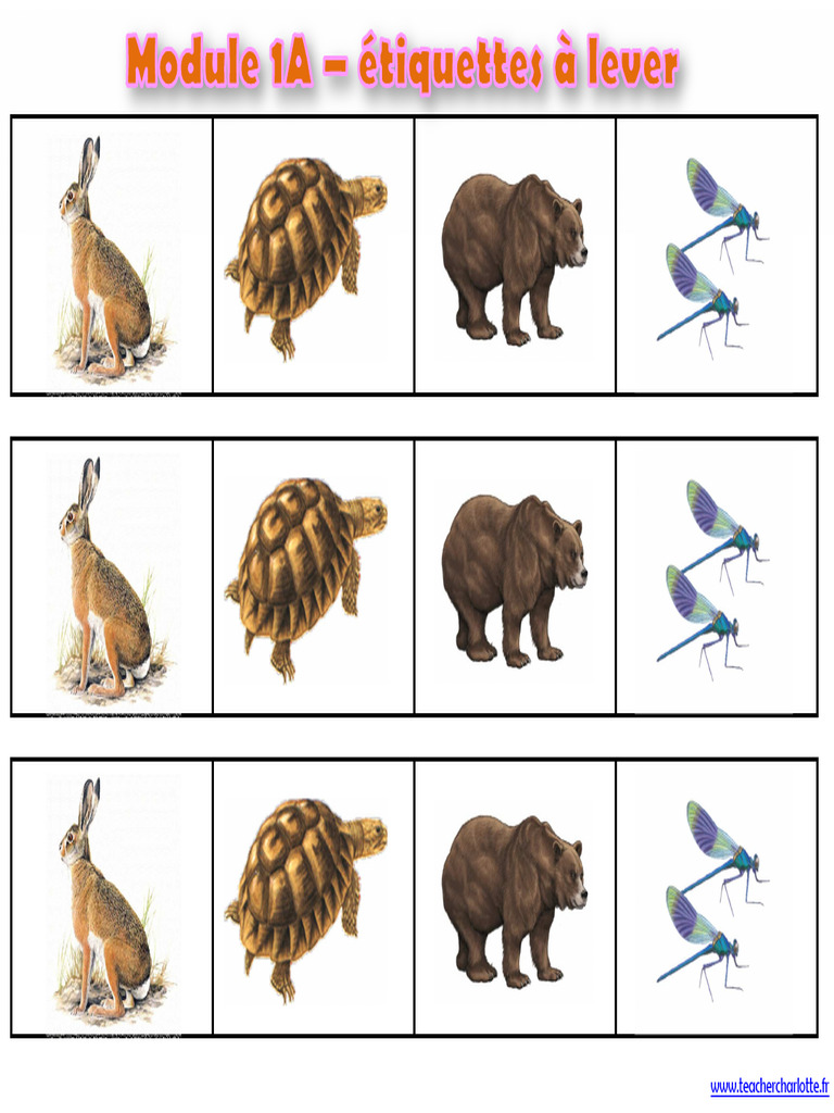 Supports Élèves Module 1 Ouaf Et Compagnie | PDF