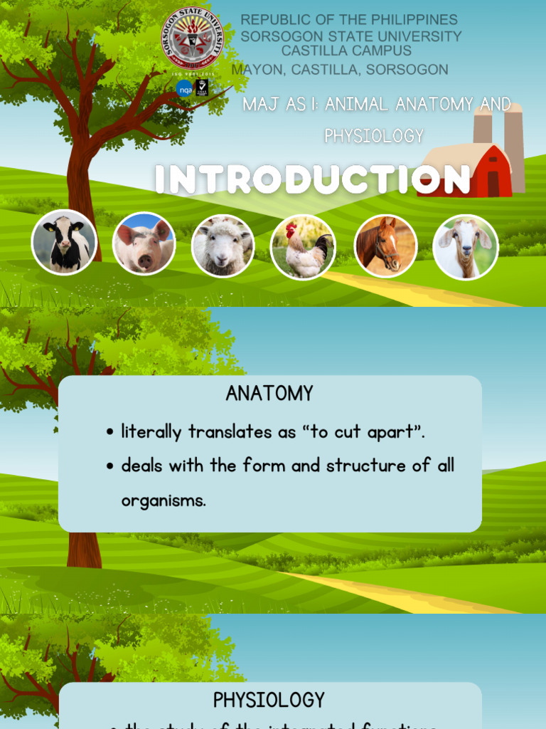 Colorful Realistic Farm Animal Information Presentation | PDF