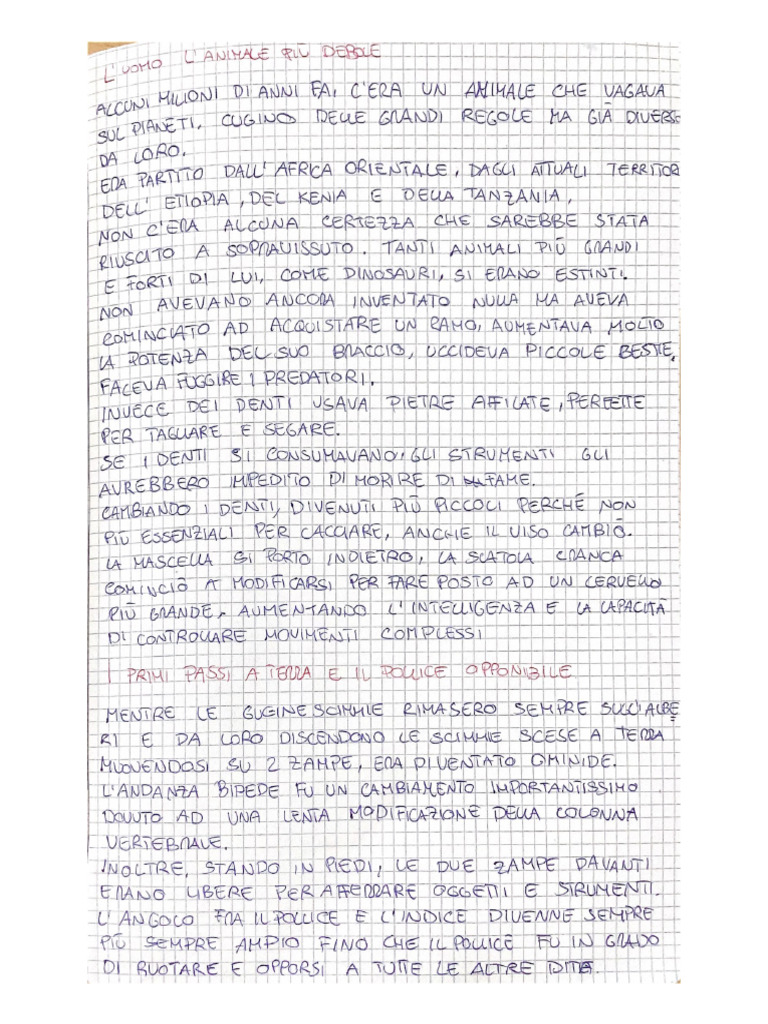 Documenti Scansionati | PDF