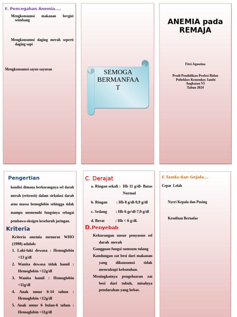 Leaflet Anemia Pada Remaja | PDF