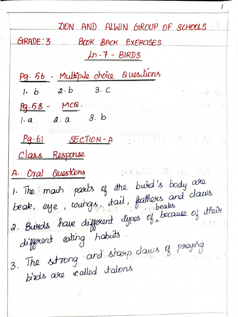 Grade 3 Lesson 7 BB Exercise | PDF