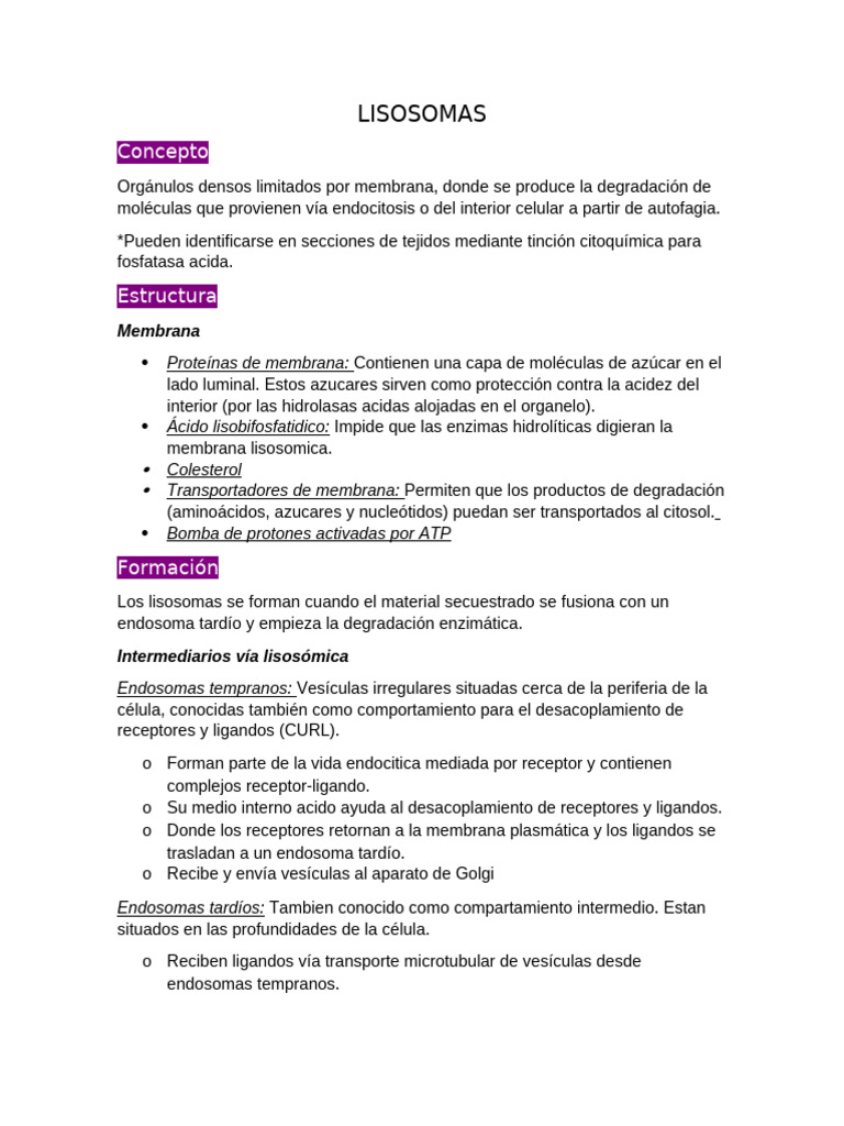 LISOSOMAS | PDF