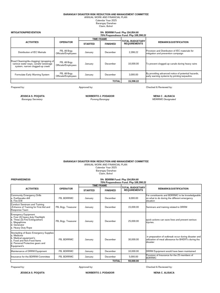 BDRRM Work & Financial Plan 2025 - 095321 | PDF