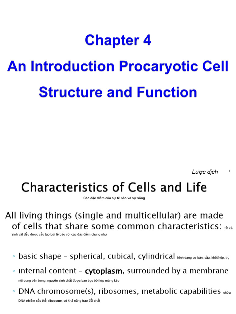 VSVH Chapter04 Lecture | PDF