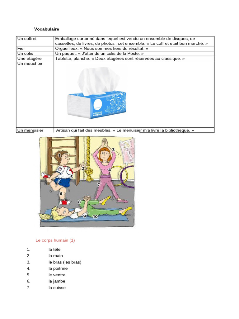 Vocabulaire: Le Corps Humain | PDF