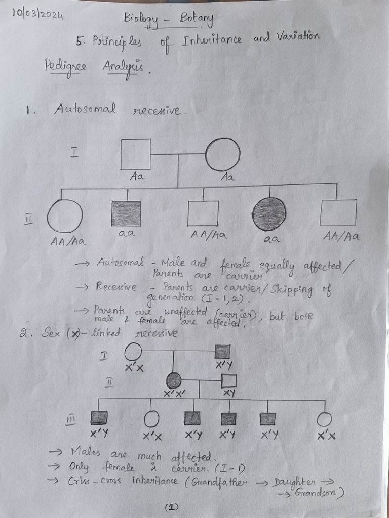 Pedigree Analysis_Solved Examples | PDF