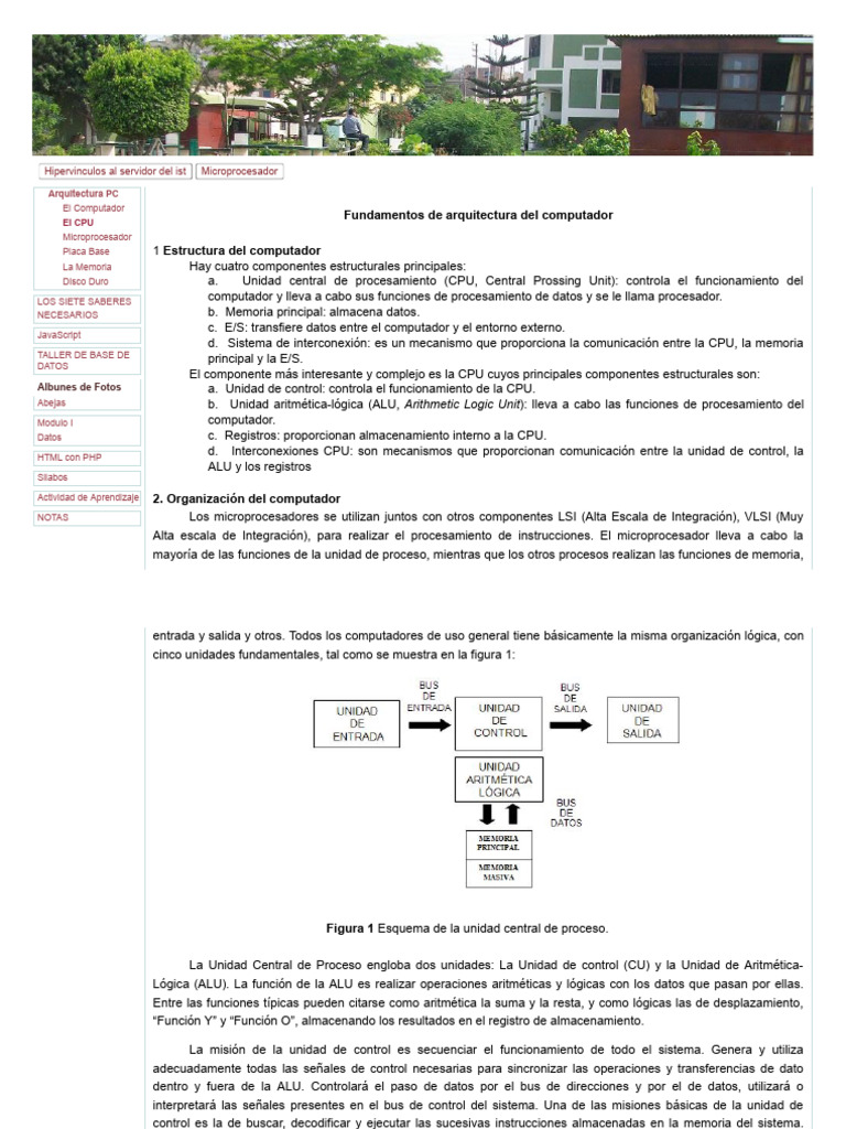 El CPU - polvoenamorado | PDF