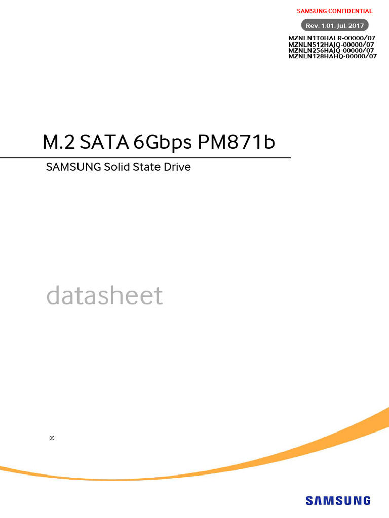 PM871b M.2 SSD Datasheet - v1.01 | PDF