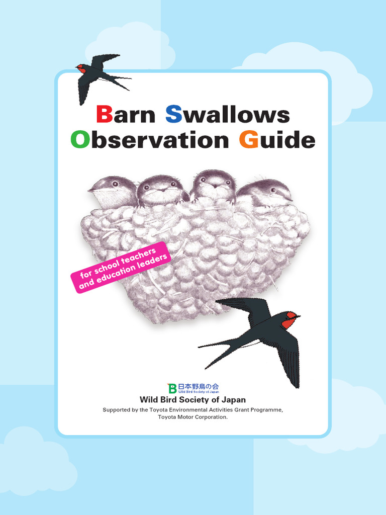 Swallow Guide | PDF