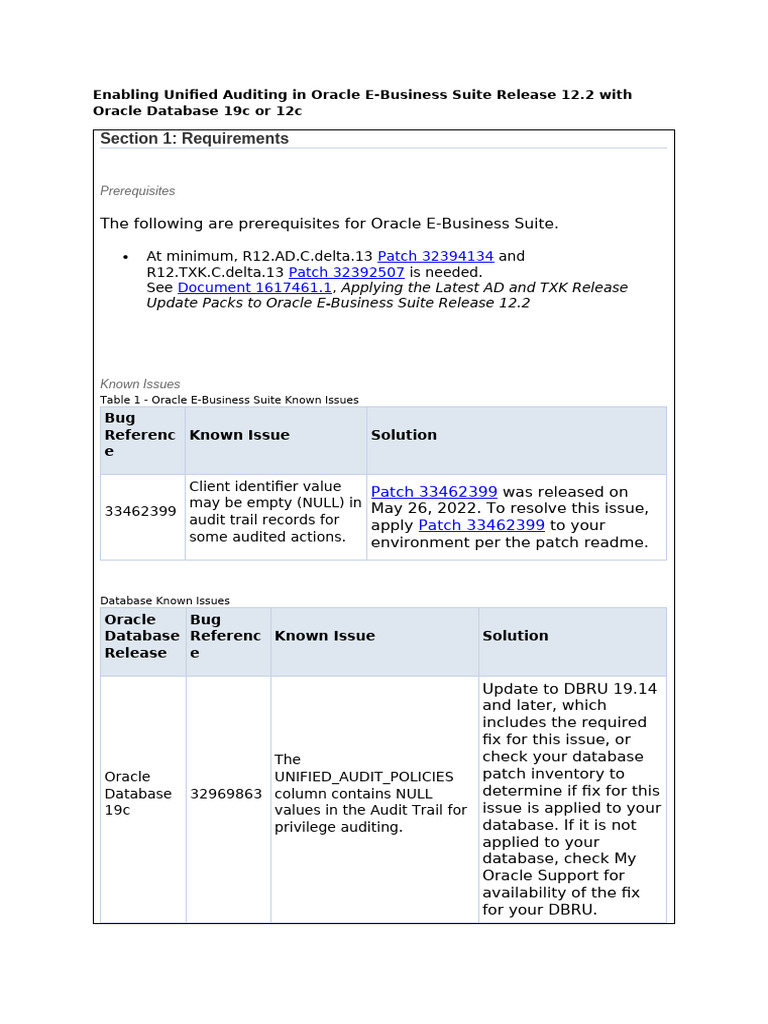 Oracle Auditing EBSR12.2 | PDF | Databases | Data Management