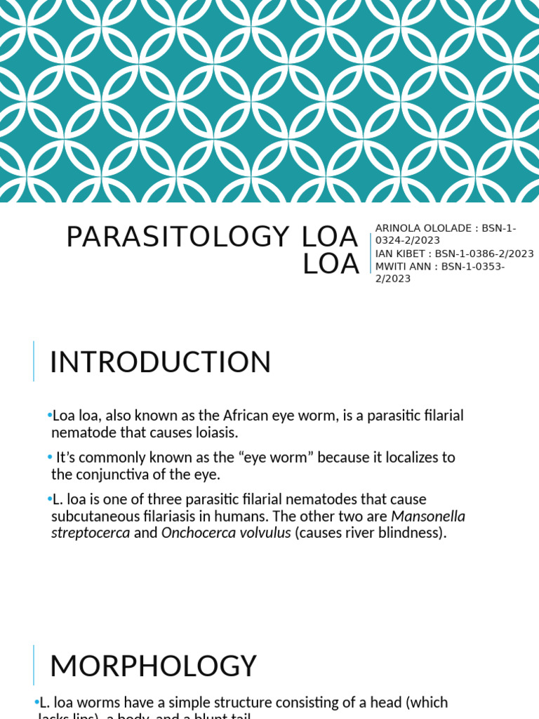 Loa Loa | PDF | Parasitology | Home & Garden