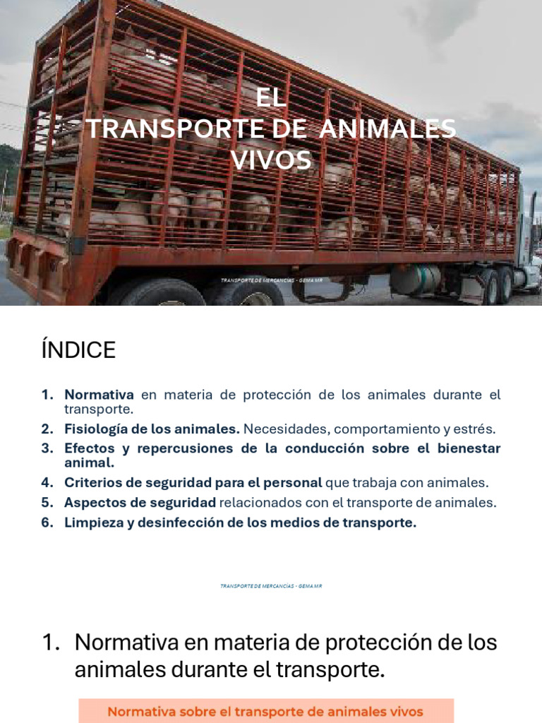 El Transporte de Animales Vivos Por Carretera | PDF