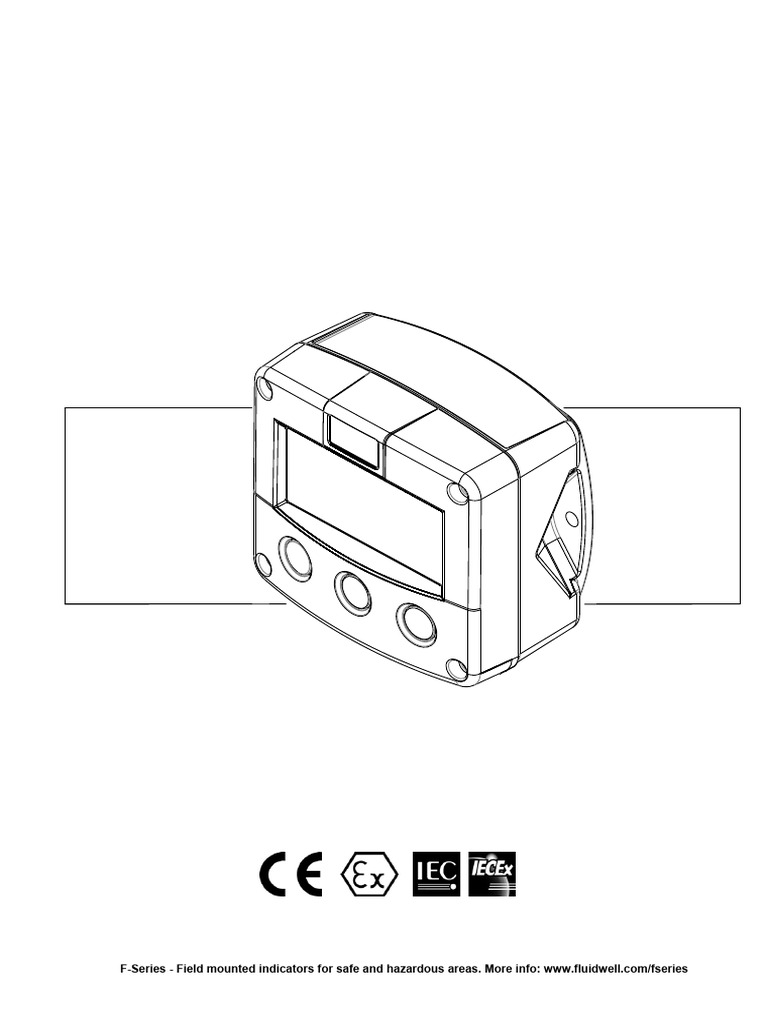 F111A Flow Rate Dual Input Totalizer With Two Pulse Output EN V1151 MI ...