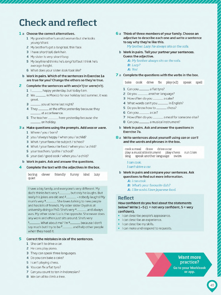 CHECK AND REFLECT | PDF