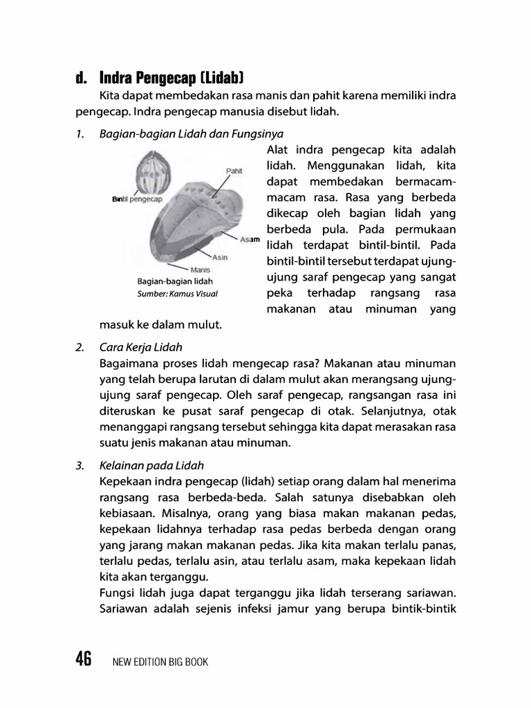 New Edition Big Book IPA SDMI Kelas 4, 5, 6-53 | PDF