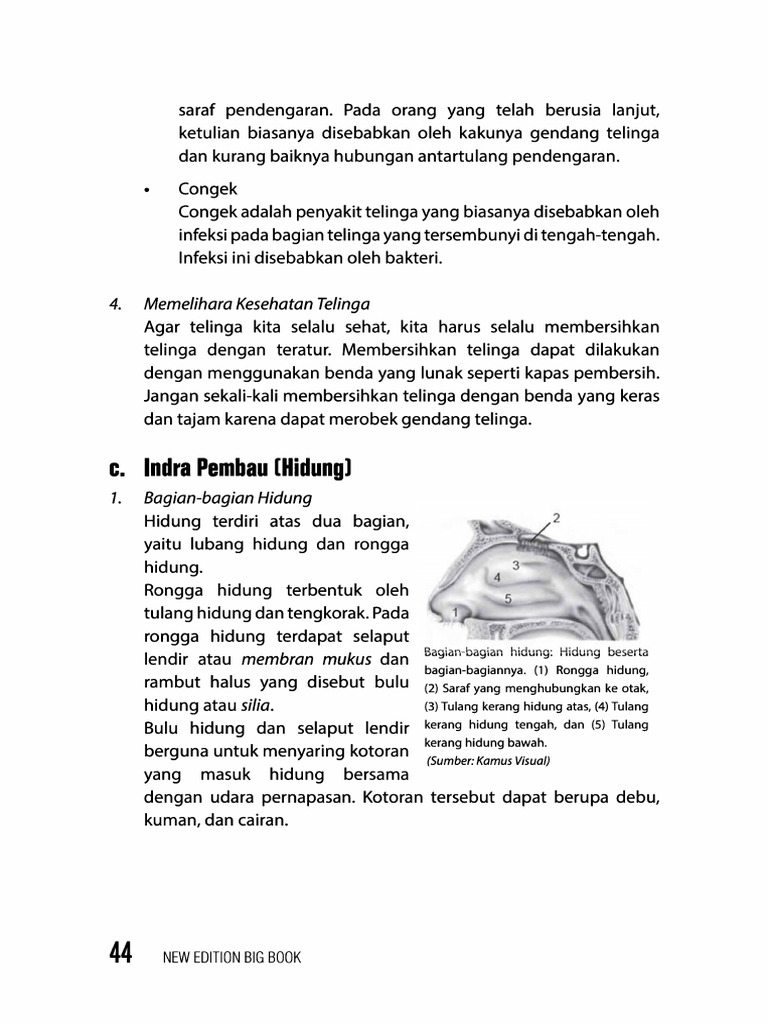 New Edition Big Book IPA SDMI Kelas 4, 5, 6-51 | PDF