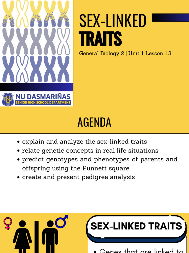 Genbio2 Sex Linked Traits | PDF