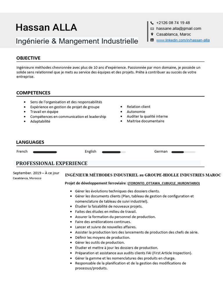 CV Hassan ALLA | PDF