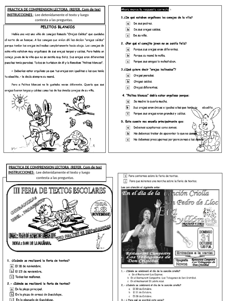 Practicas de Comprension 2do | PDF