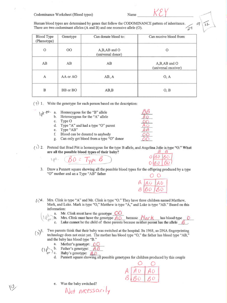 BLood Types Practice KEY | PDF