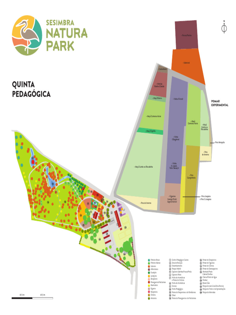 Planta Quinta Pedagogica Sesimbra Mapa v3 | PDF