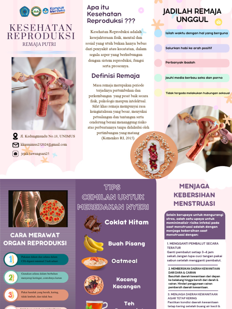 KKN Leaflet PDF | PDF