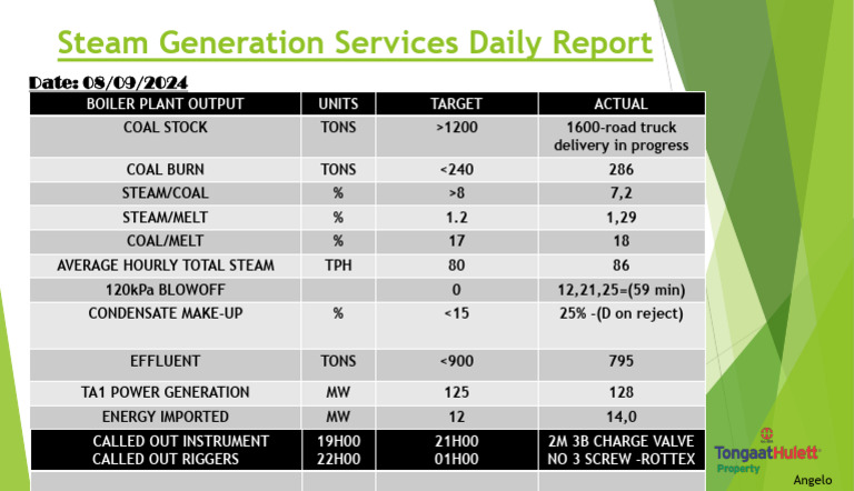 Service Daily Report 2024 10 | PDF