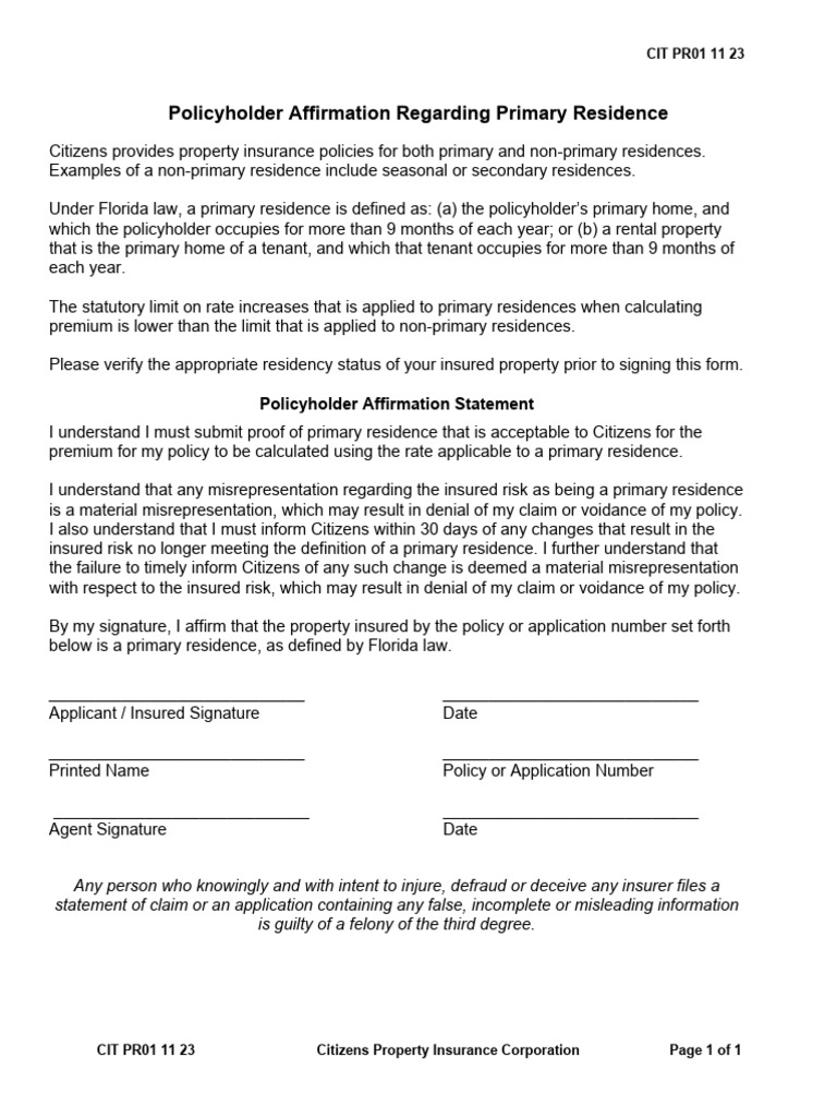 Blank Primary Form | PDF