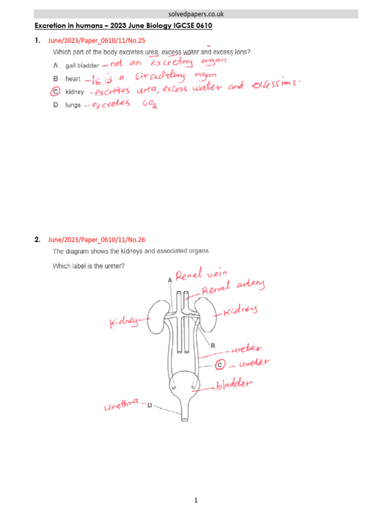 Excretion in Humans IGCSE | PDF