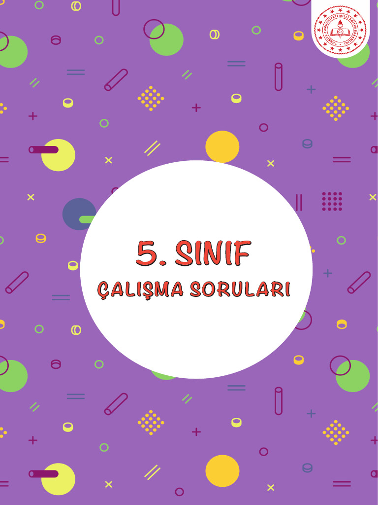 5 Sinif Calisma Sorulari | PDF
