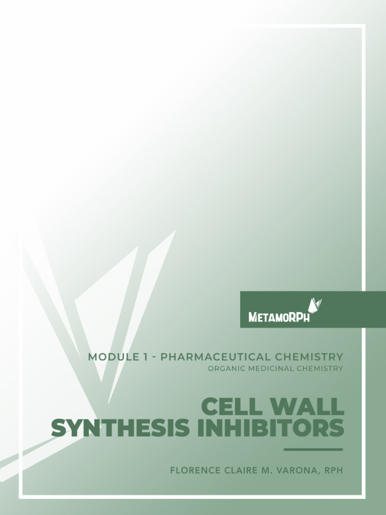 Organic Medicinal Chemistry Part 2 Pdf