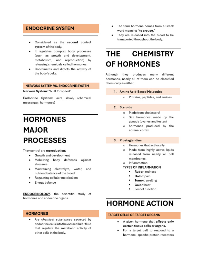 ENDOCRINE SYSTEM | PDF