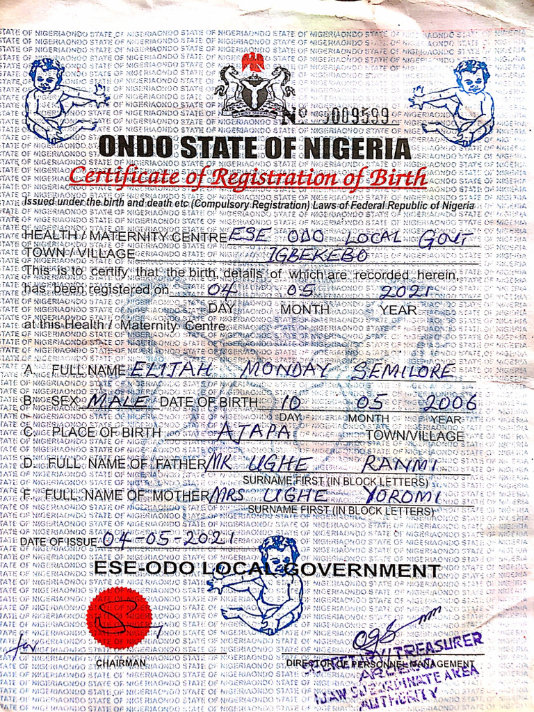 Birth Certificate | PDF