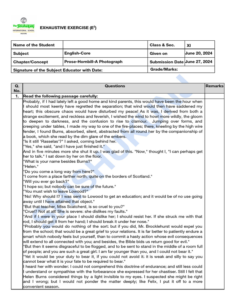 E2 Model Ans Photograph | PDF