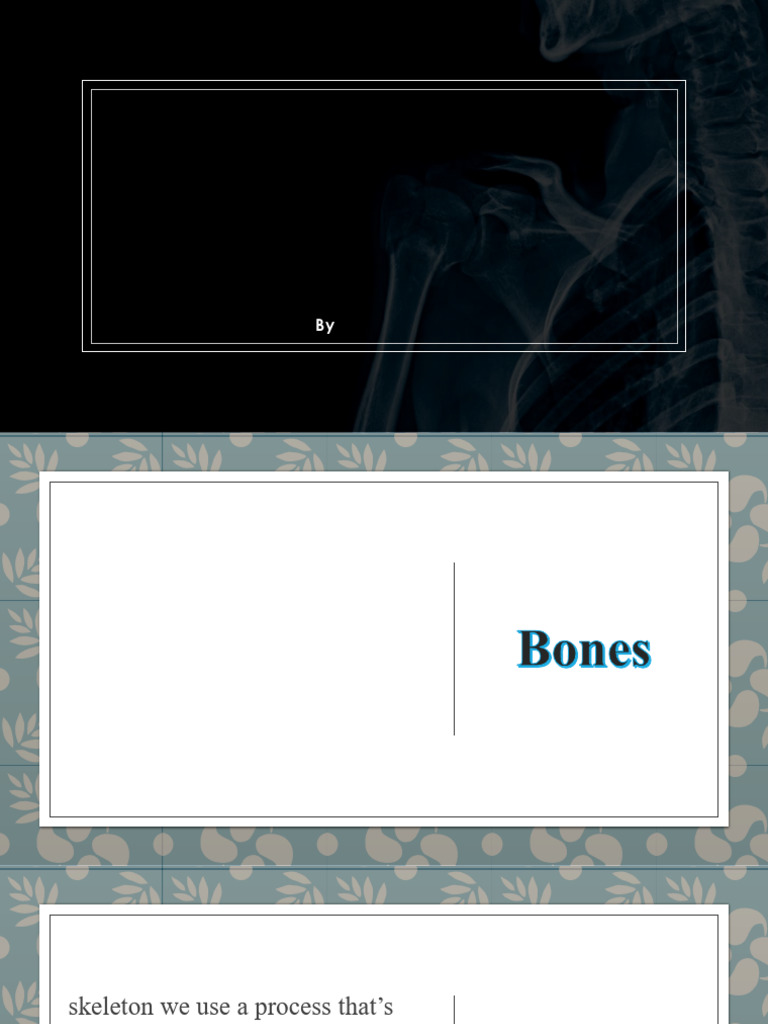 3 - Physics of The Skeleton PPT - 085321 | PDF