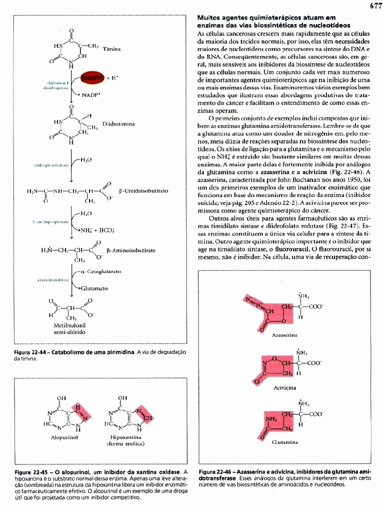 6-7_Lehninger_-_Principios_de_Bioquimica_3ed_-_Nelson_e_Cox | PDF