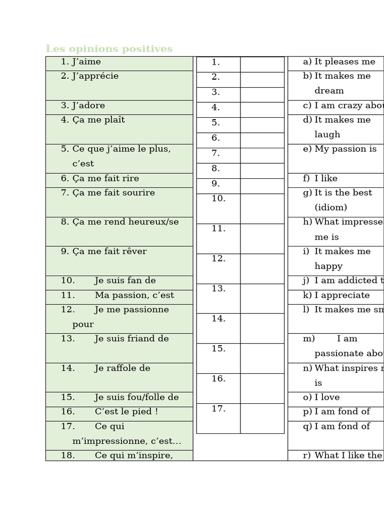 Les Opinions - GCSE - Revision | PDF