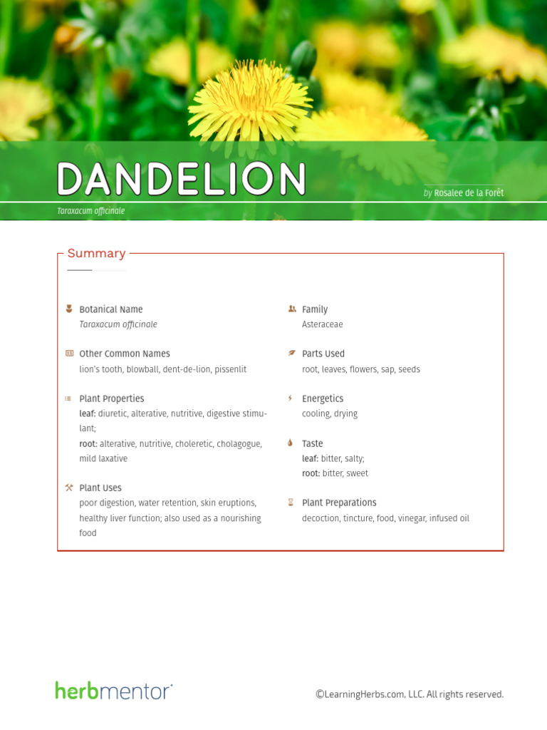 Dandelion | PDF