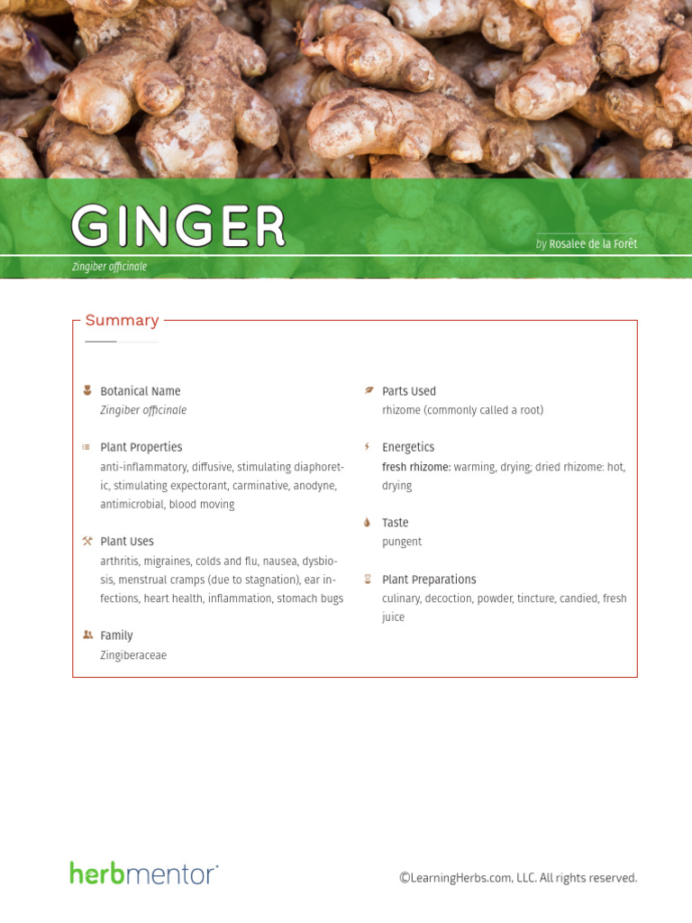 Ginger | PDF