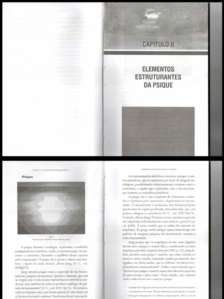 Cap 2. Elementos Estruturantes Da Psique. | PDF