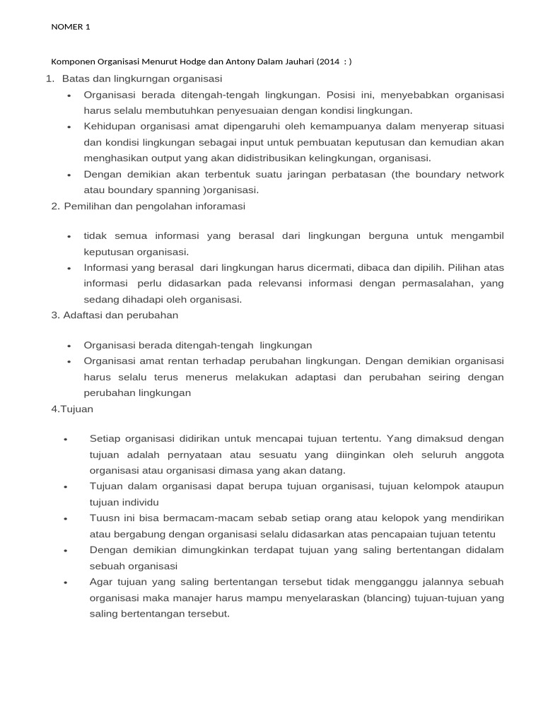 Teori Organisasi Anggi | PDF