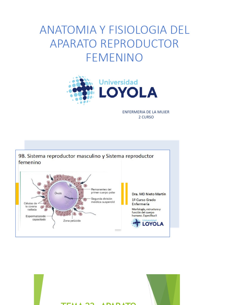 Tema 1anatomia y Fisiologia Arf | PDF